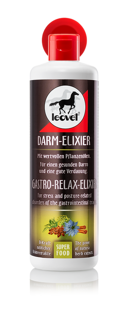 Darm-Elixier_500ml_01-2023_rgb_1200x630.png?v=1681243750